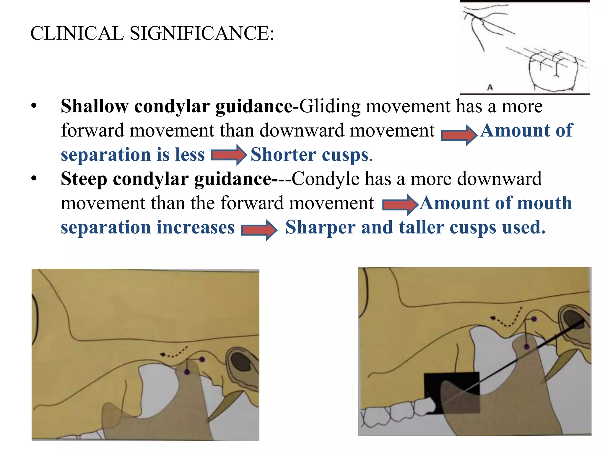 MANDIBULAR MOVEMENTS | PPTX