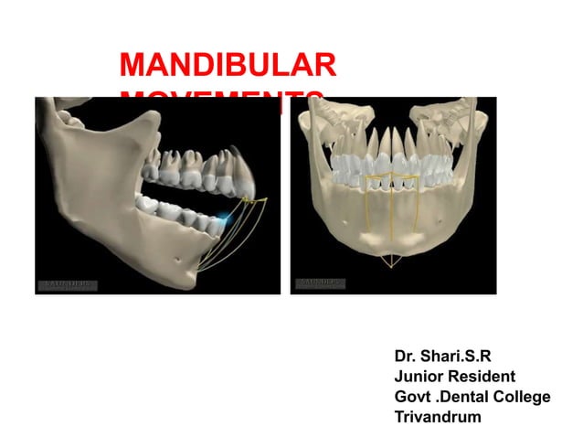 MANDIBULAR MOVEMENTS | PPTX