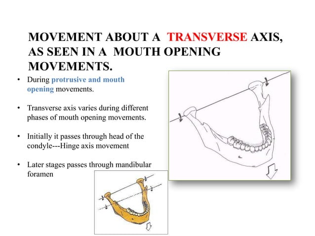 MANDIBULAR MOVEMENTS | PPTX