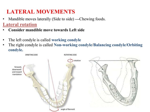MANDIBULAR MOVEMENTS | PPTX