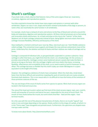 Shark and its characteristics | DOCX | Fish and Aquariums | Pets