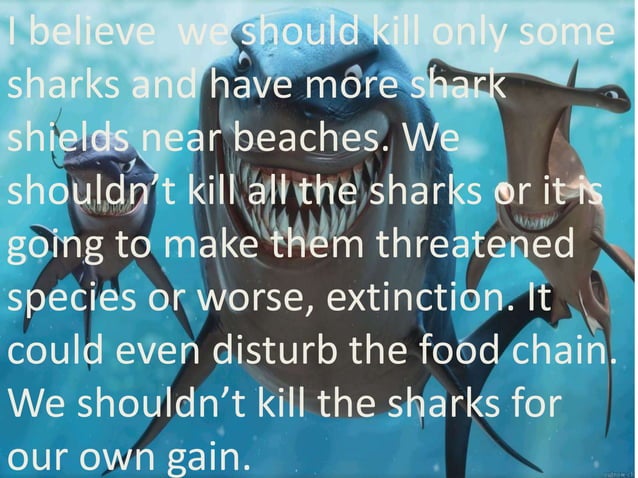 Shark Attack Information | PPT