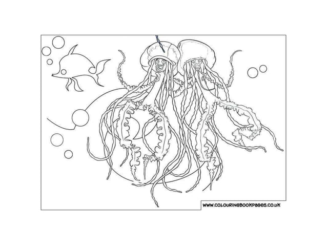 Shark tale Colouring Pages and Kids Colouring Activities | PPSX