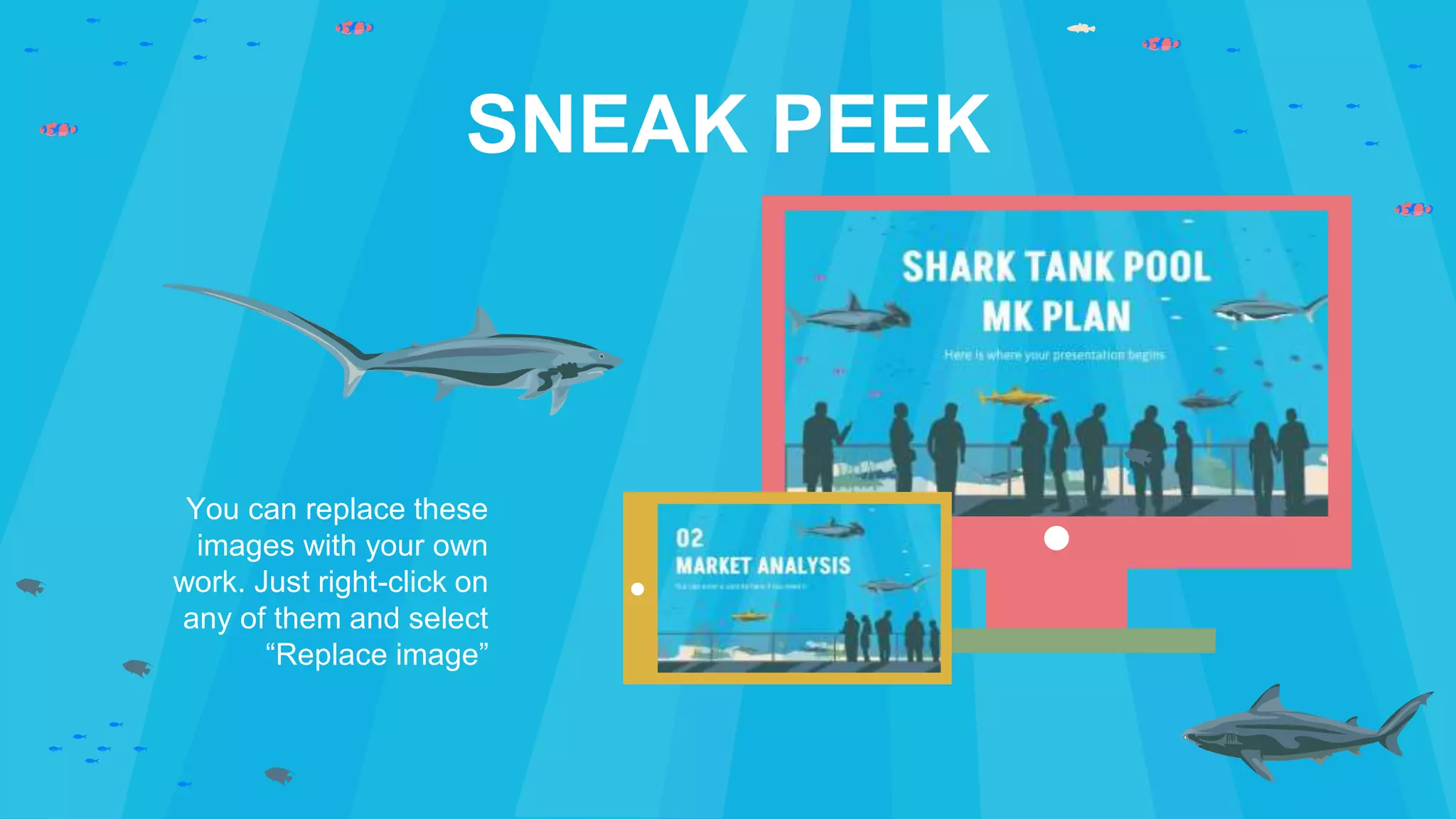 shark-tank-pool-mk-plan.pptx