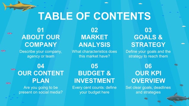 shark-tank-pool-mk-plan.pptx | Business | Business and Finance