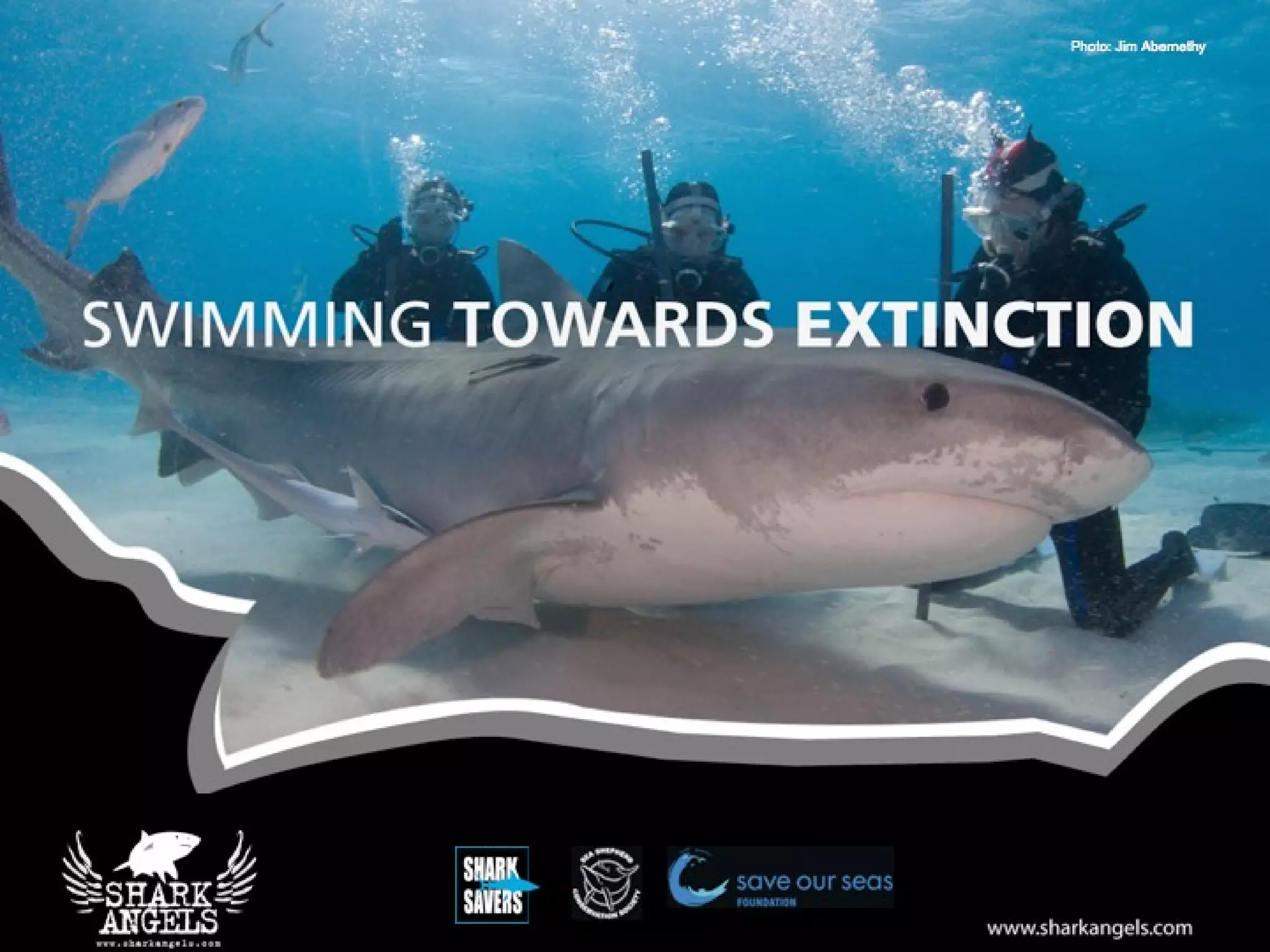 Swimming Towards Extinction: Finning & Other Threats Facing Sharks | PPT