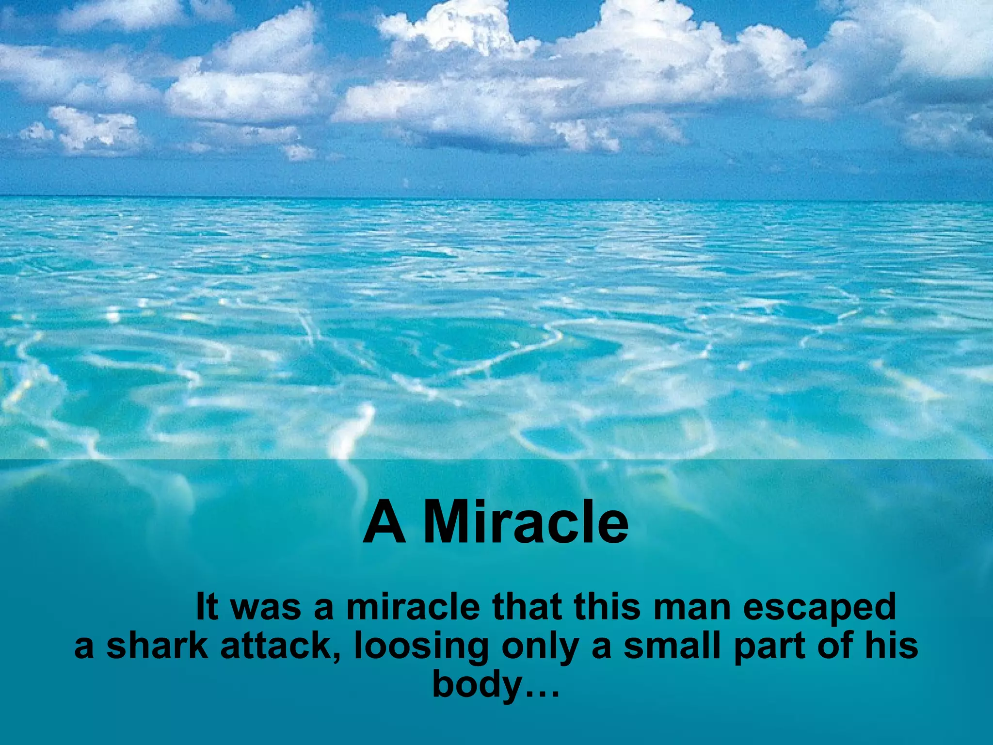 Shark attack | PPT