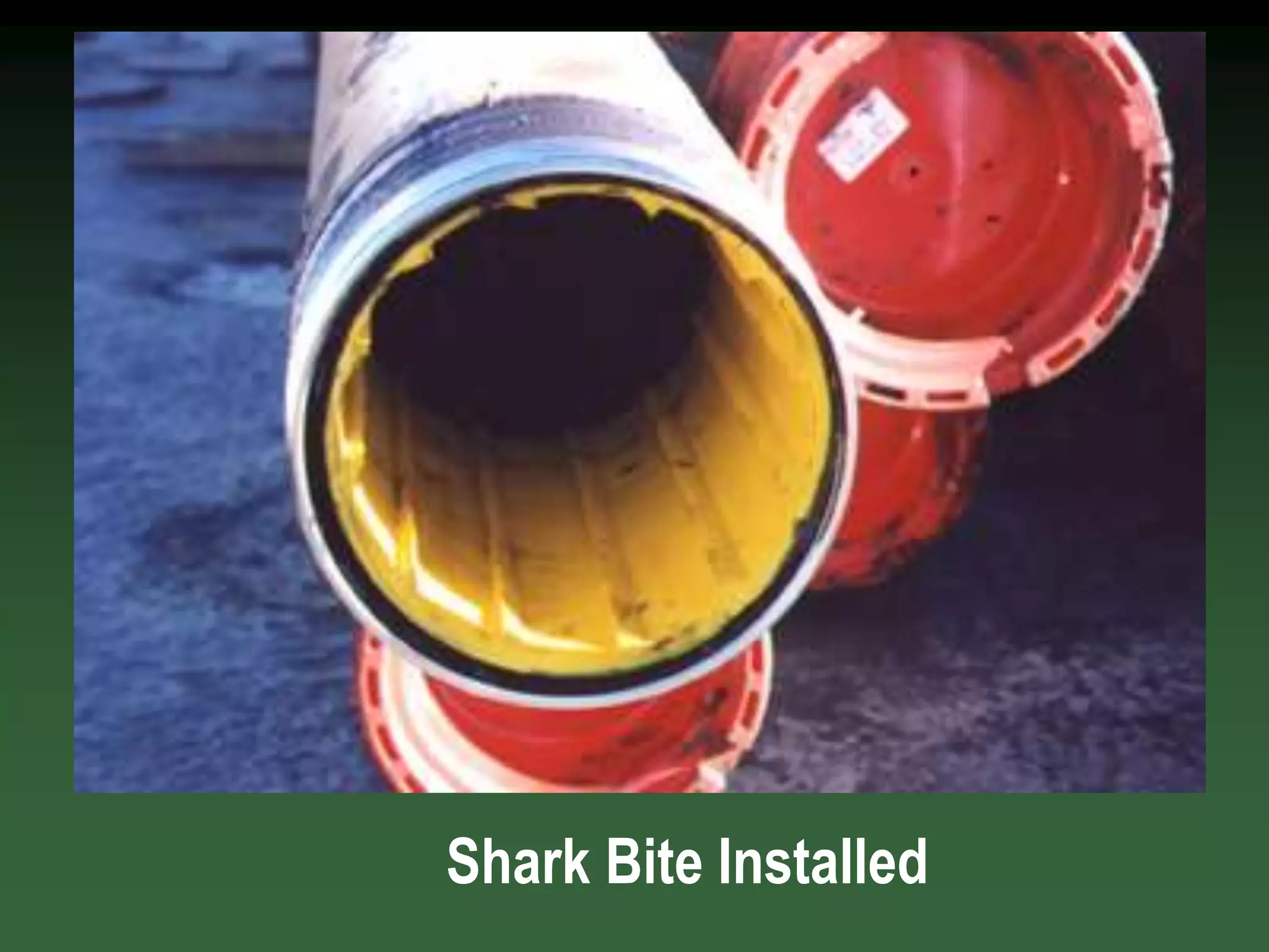 Sharkbite Presentation | PPT