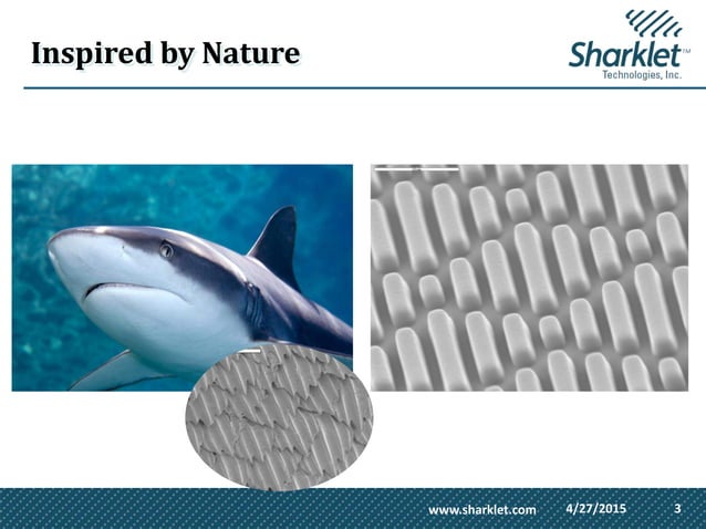 Sharklet Technologies, Inc. | PDF | Eye and Vision Conditions ...