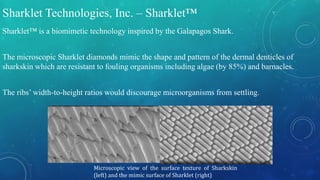 Sharklet, Bacteria, and Hospitals | PDF