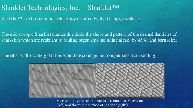 Sharklet, Bacteria, and Hospitals