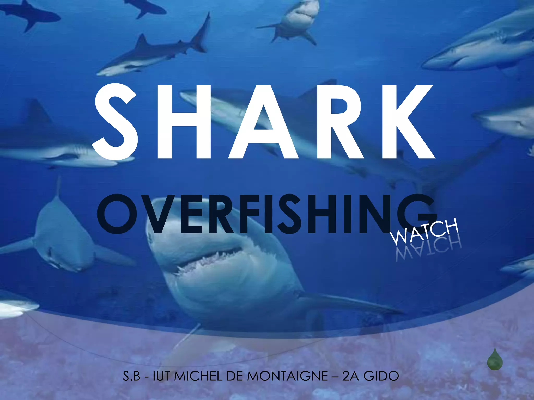 Shark overfishing | PPT