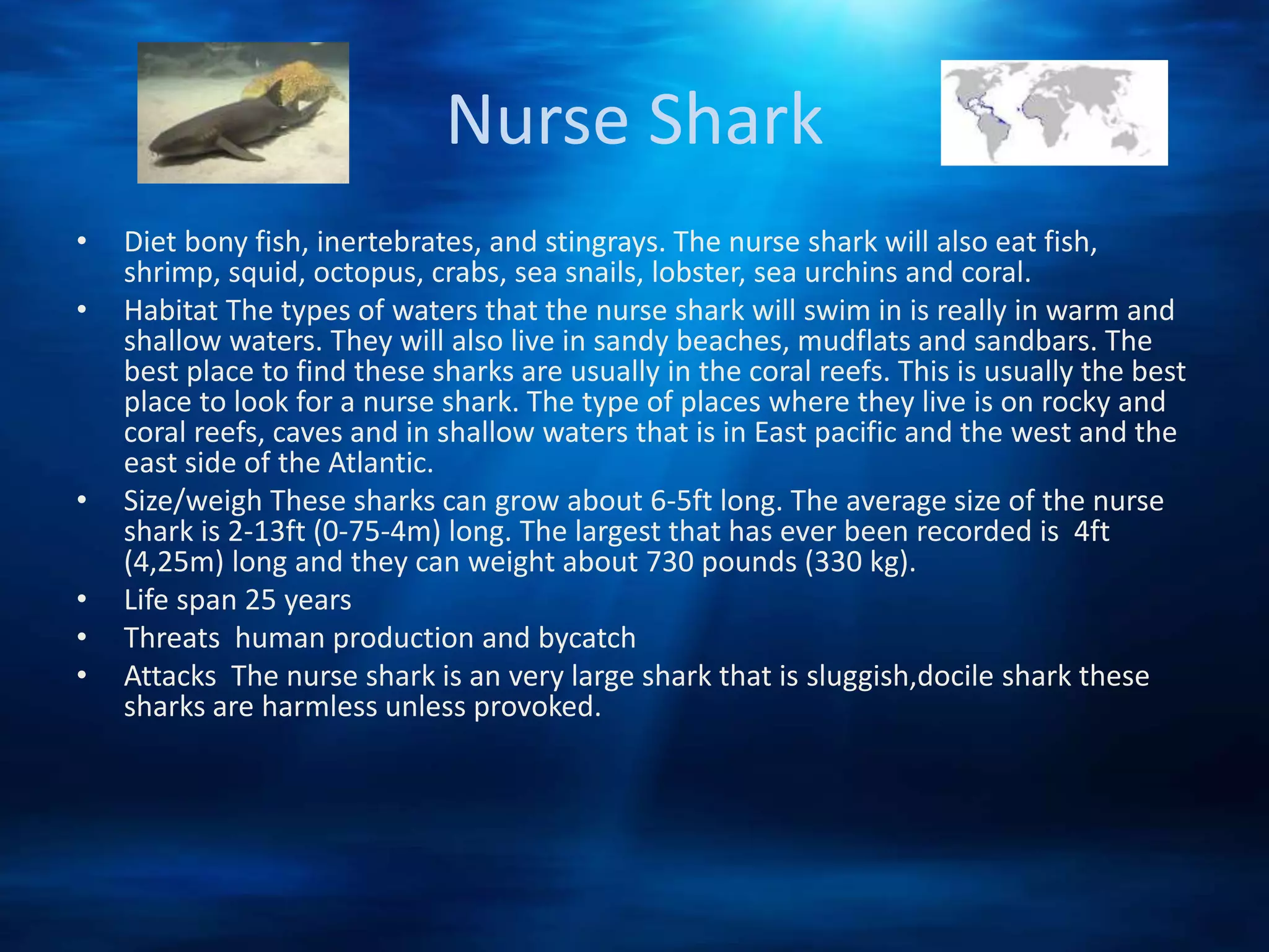 Shark powerpoint | PPT