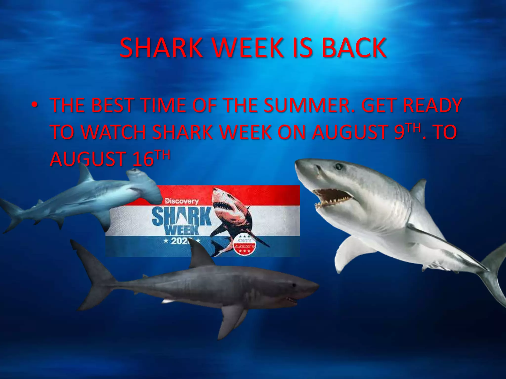 Shark powerpoint | PPT