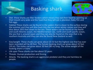 Shark powerpoint | PPTX