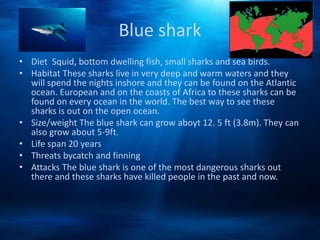 Shark powerpoint | PPTX