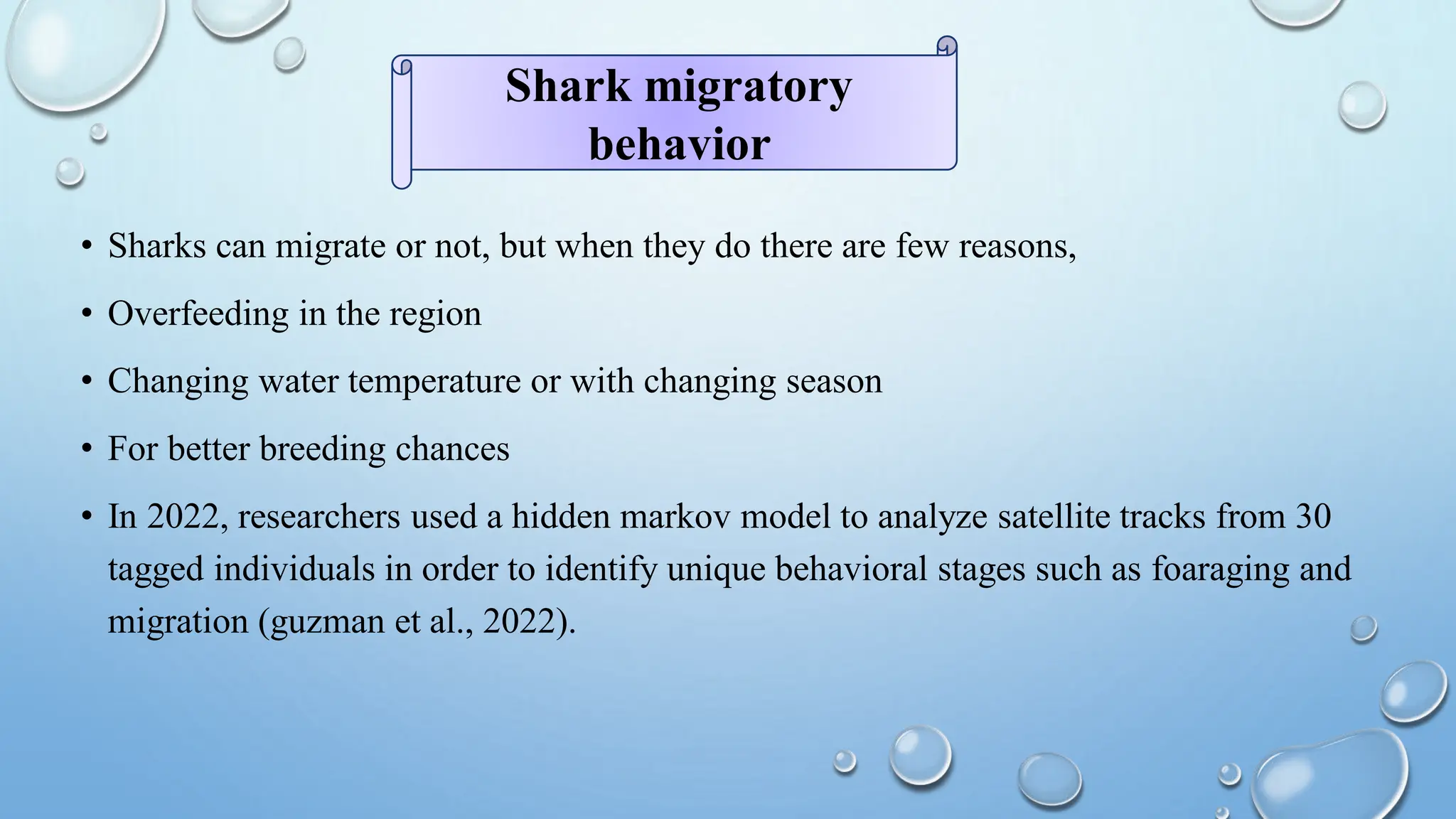Shark introduction Morphology and its behaviour characteristics | PDF