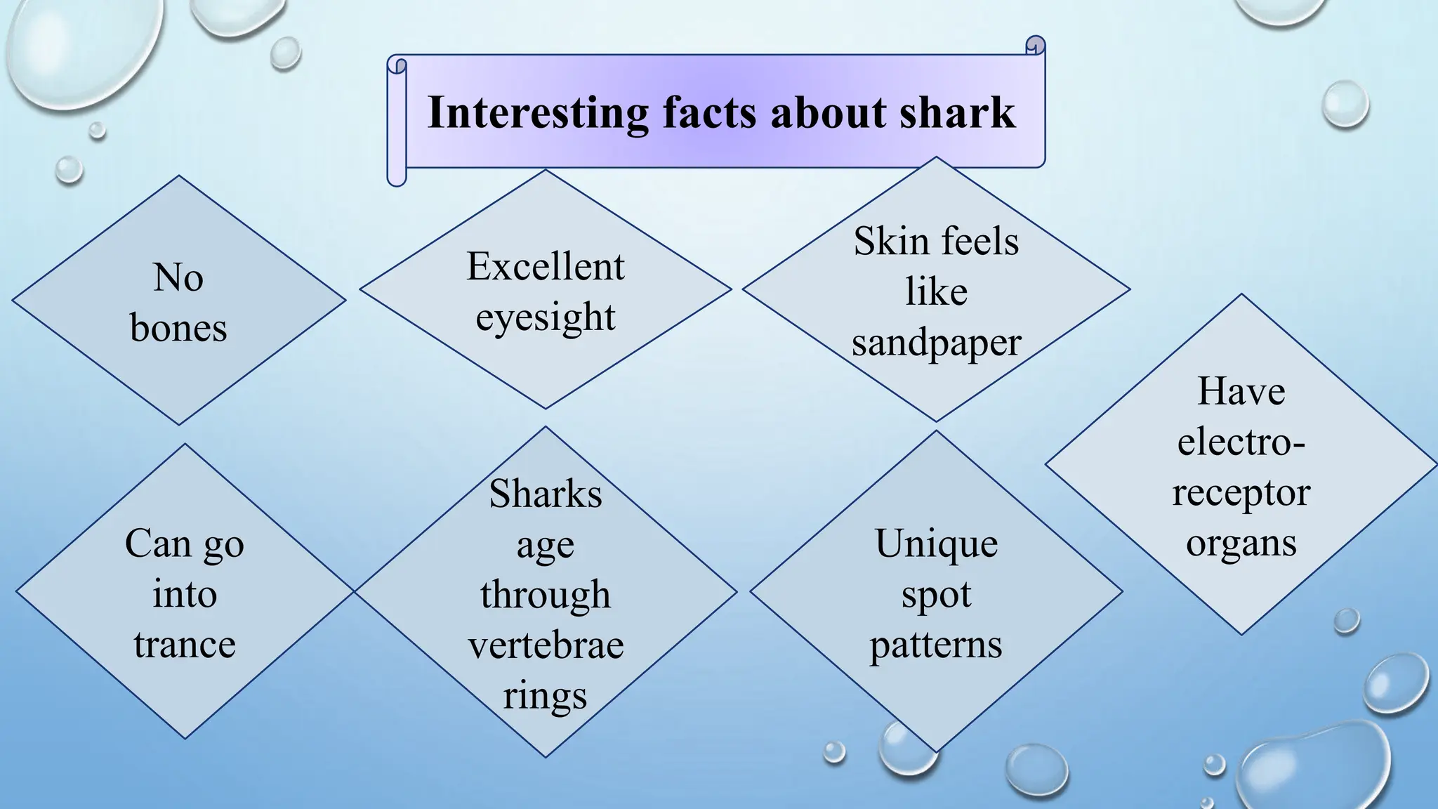 Shark introduction Morphology and its behaviour characteristics | PDF