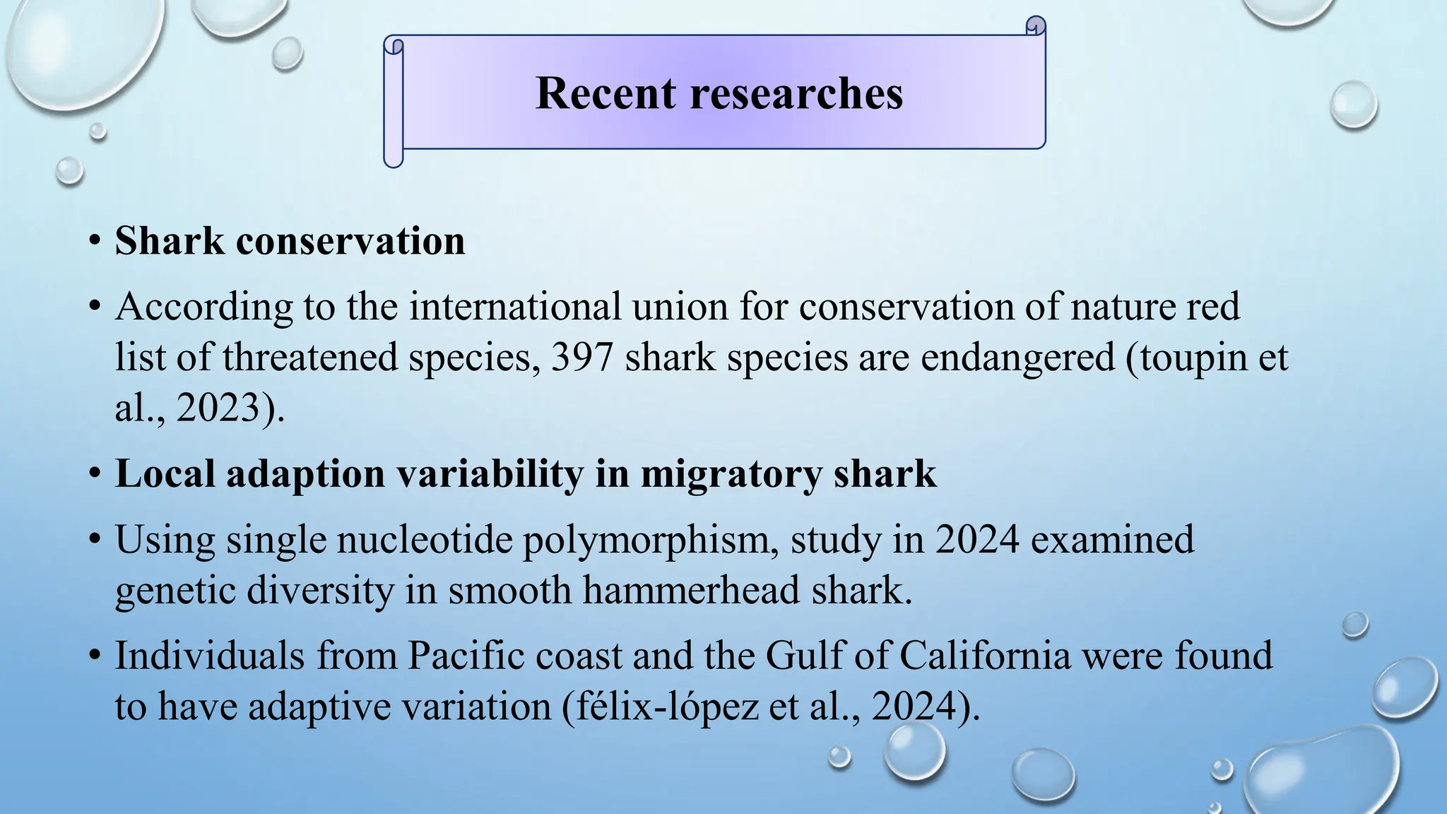 Shark introduction Morphology and its behaviour characteristics | PDF