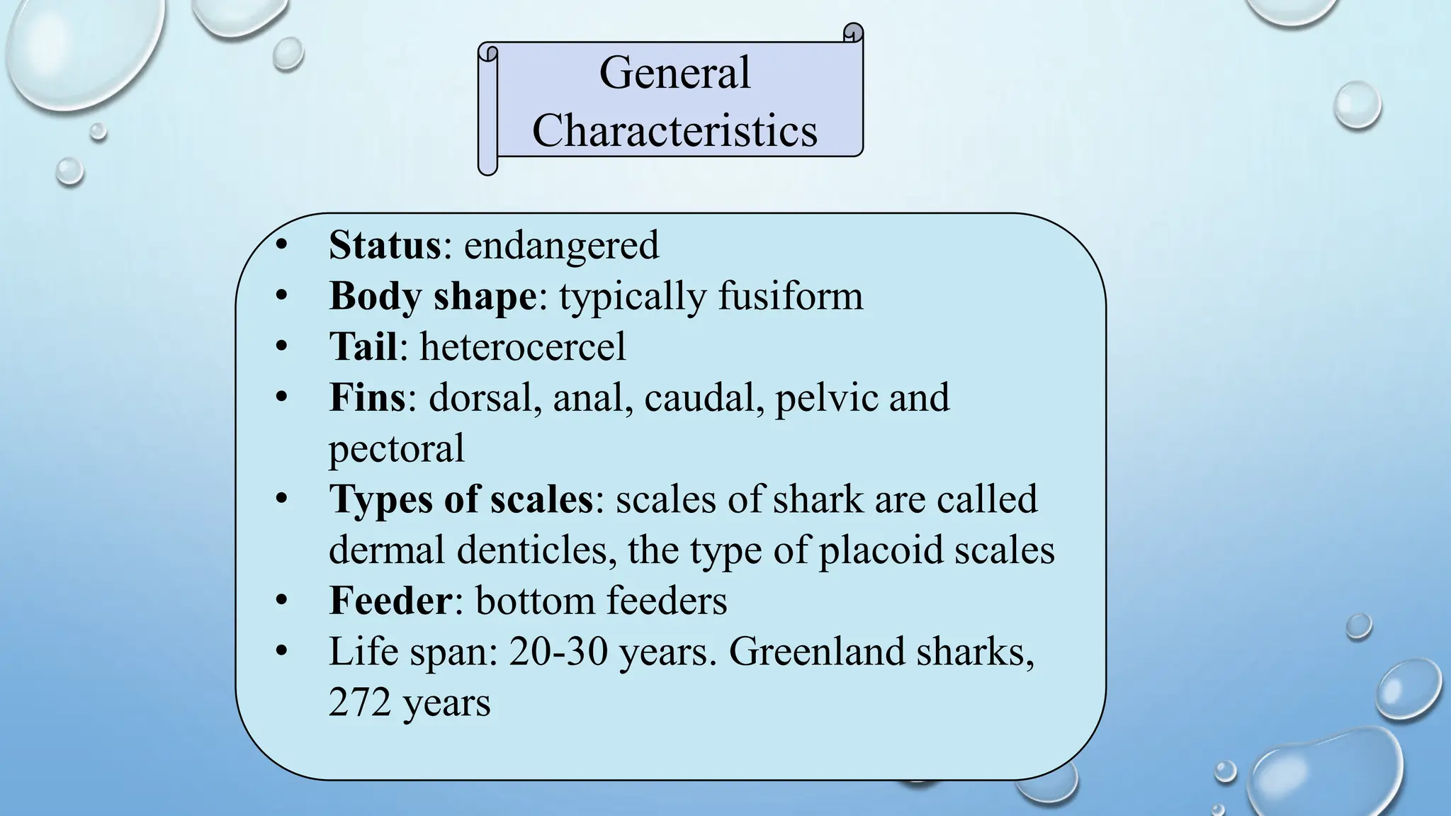 Shark introduction Morphology and its behaviour characteristics | PDF