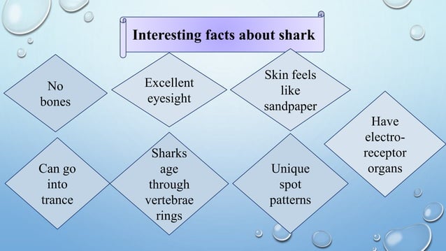 Shark introduction Morphology and its behaviour characteristics | PDF