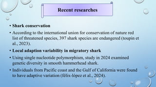Shark introduction Morphology and its behaviour characteristics | PDF