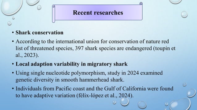 Shark introduction Morphology and its behaviour characteristics | PDF