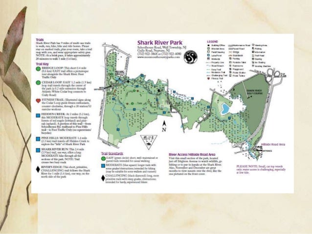 Shark River Park - Plant and Tree guide