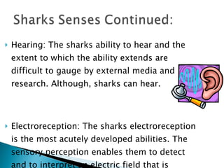 Sharks | PPT
