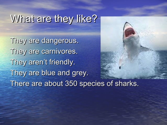 Sharks ESL primary school presentation | PPT