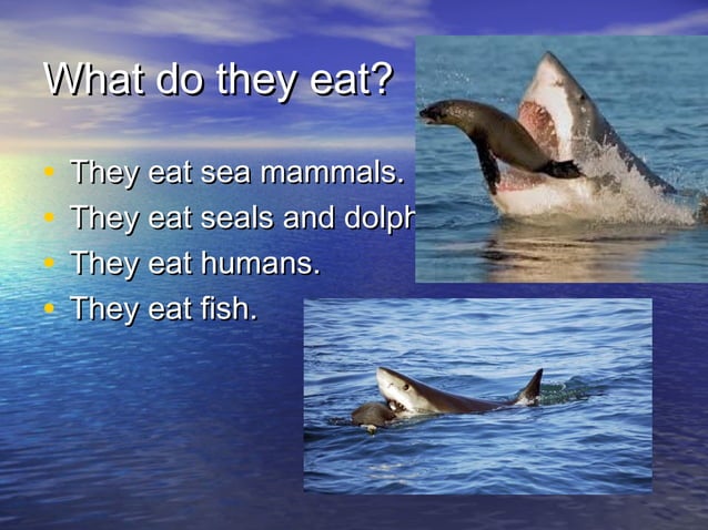 Sharks ESL primary school presentation | PPT | Fish and Aquariums | Pets