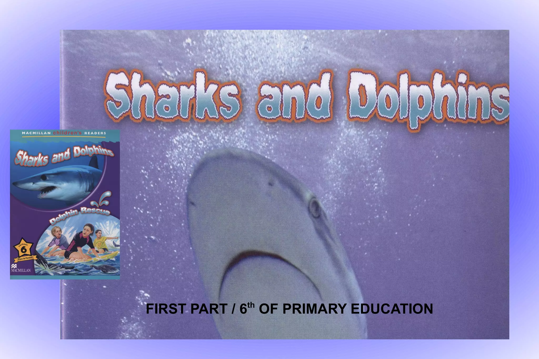 Sharks and dolphins 1 | ODP