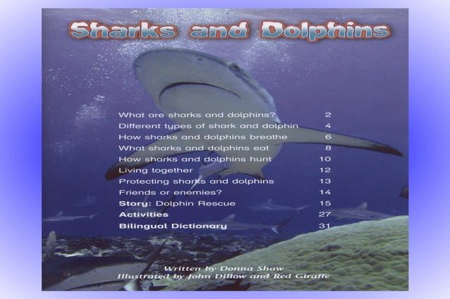 Sharks and dolphins 1 | PPT