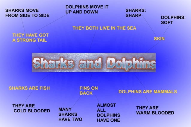Sharks and dolphins 1 | PPT