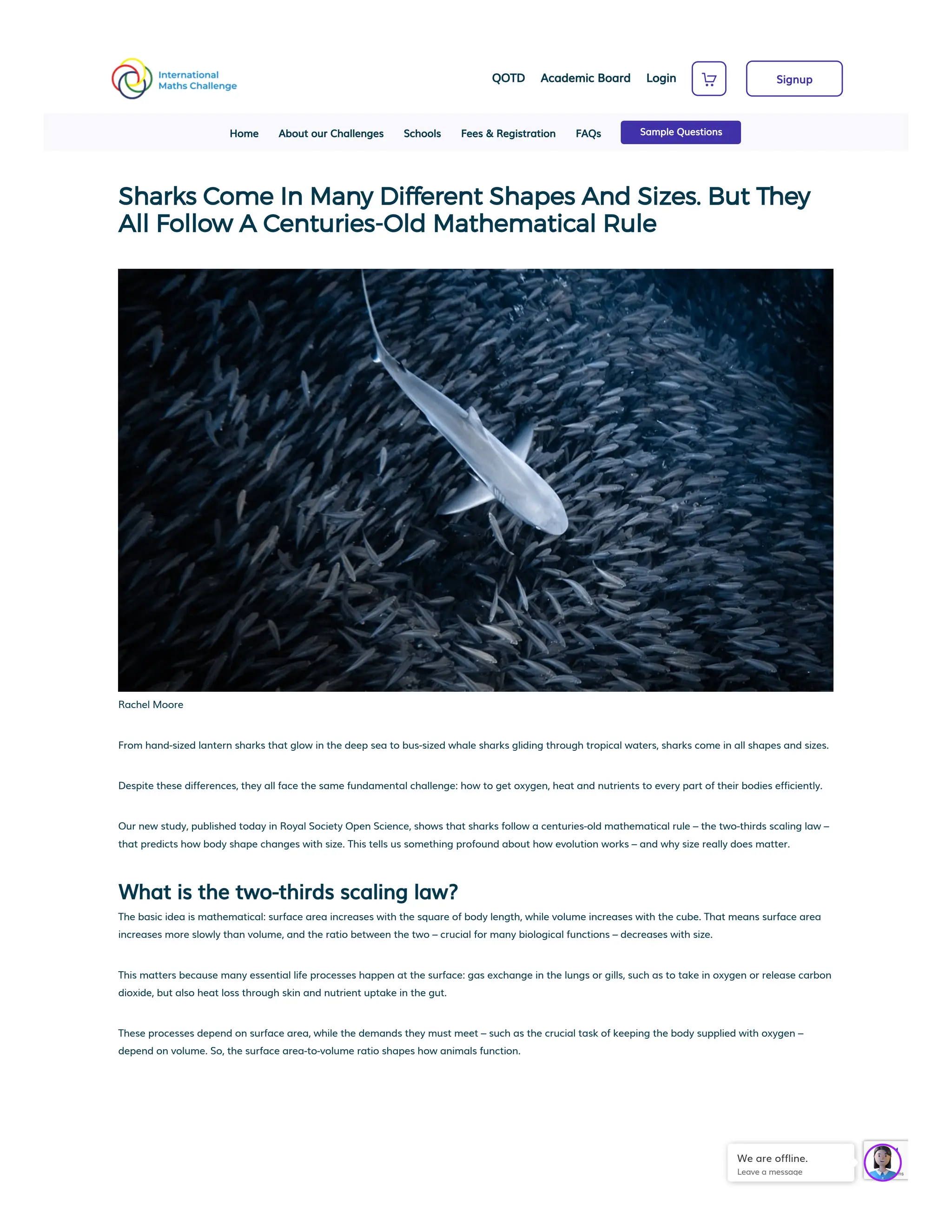 Sharks come in many different shapes and sizes..pdf