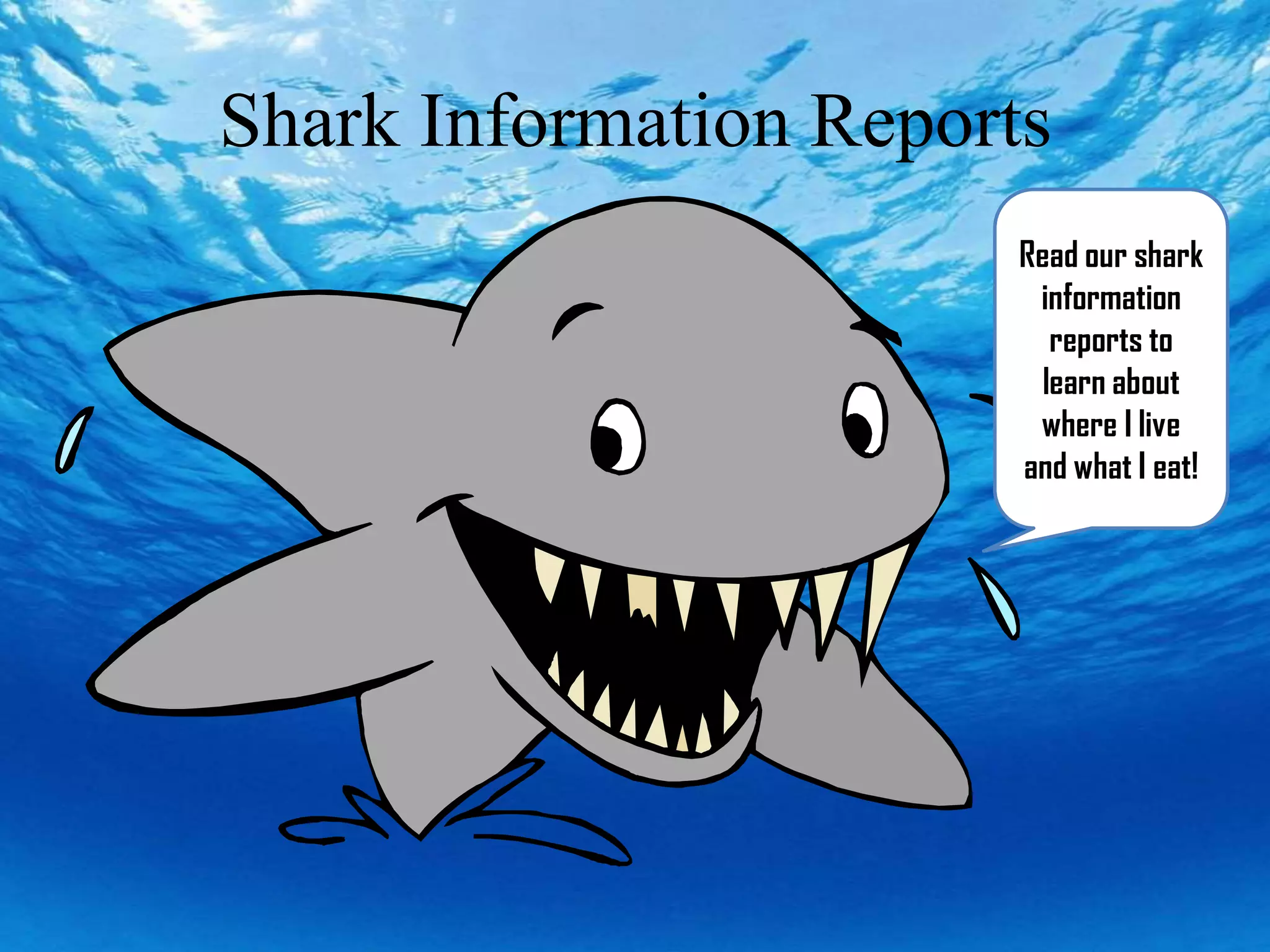 Sharks information report | PPTX | Fish and Aquariums | Pets