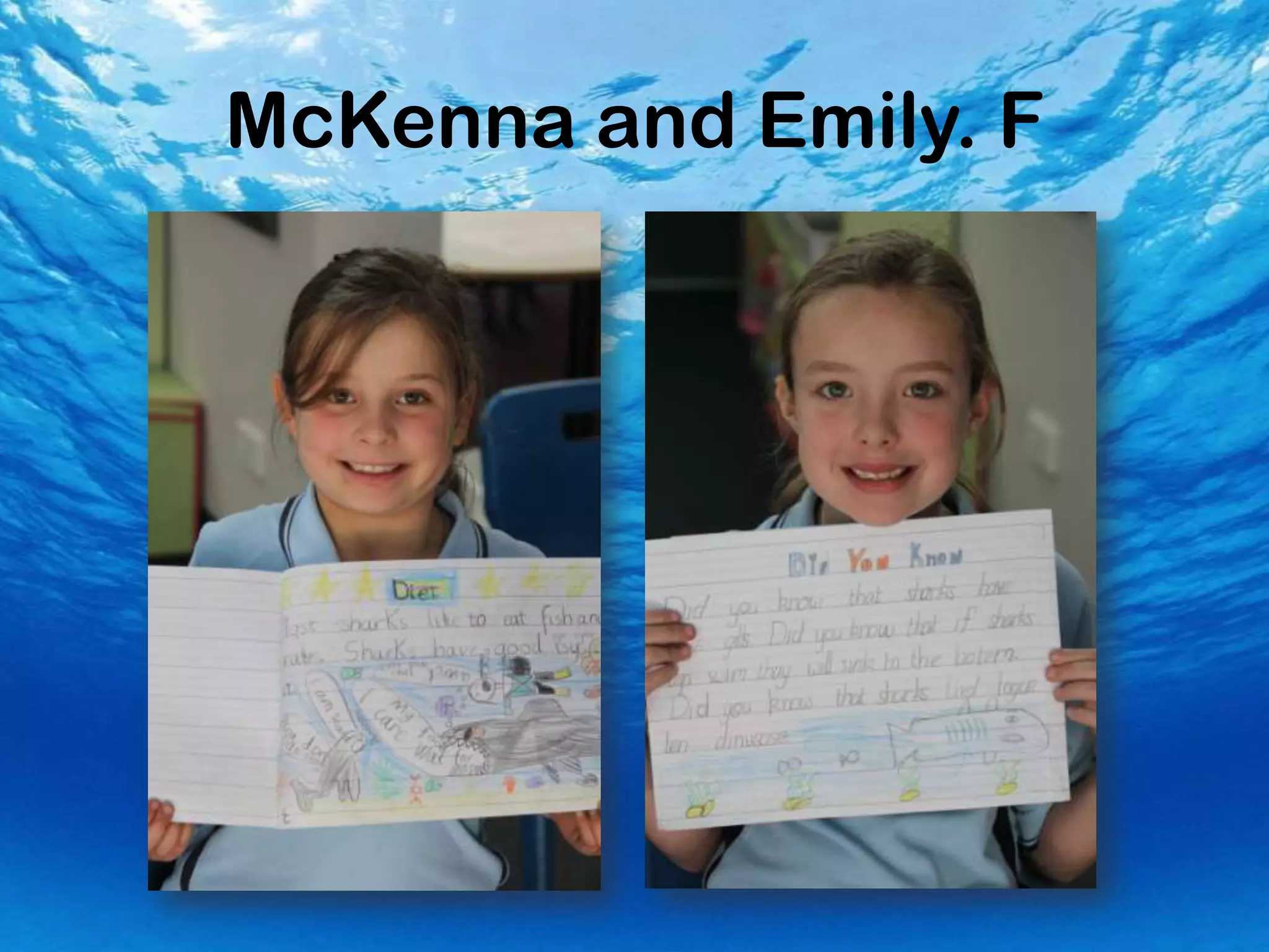 Sharks information report | PPTX | Fish and Aquariums | Pets