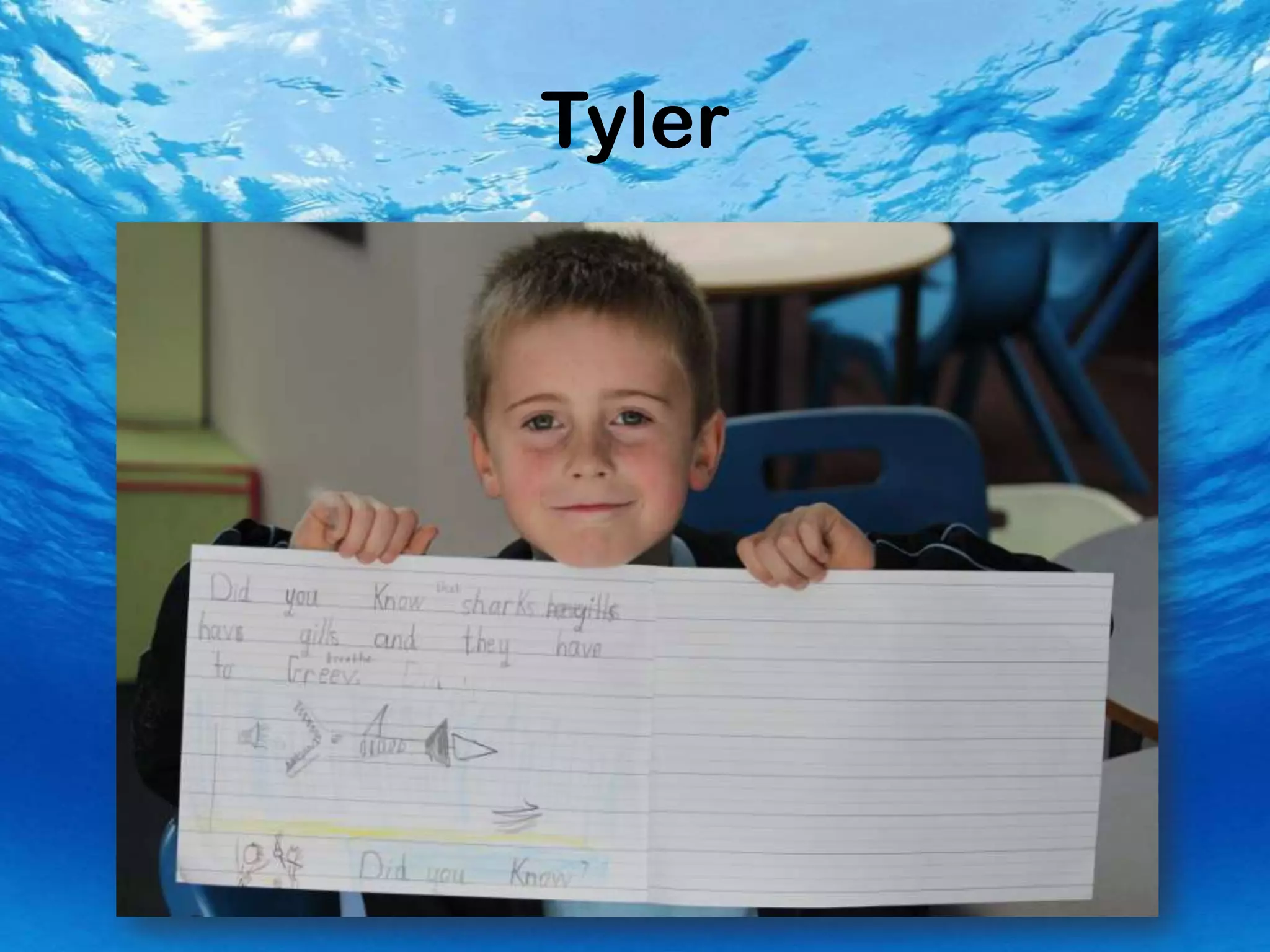 Sharks information report | PPTX