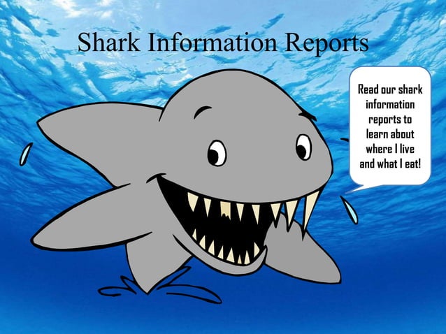 Sharks information report | PPTX