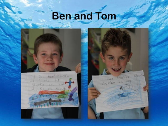 Sharks information report | PPTX