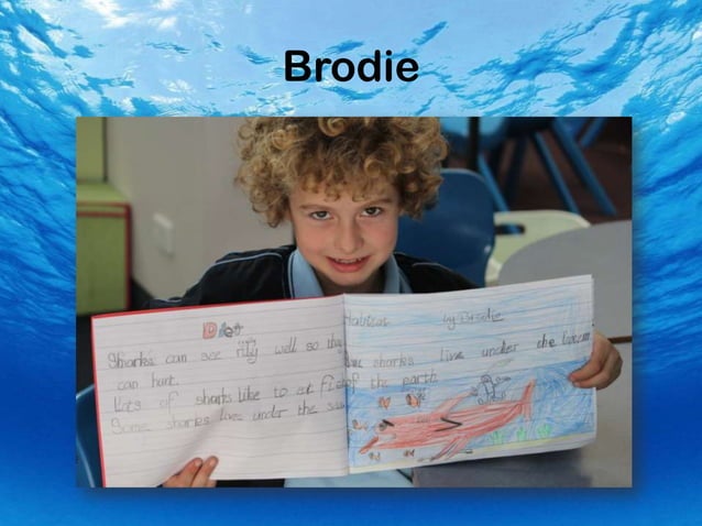 Sharks information report | PPTX | Fish and Aquariums | Pets