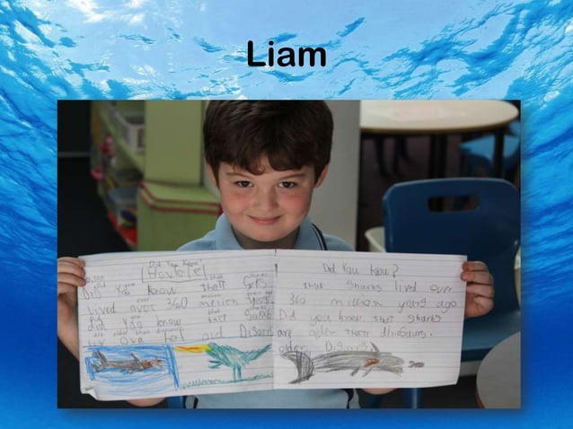 Sharks information report | PPTX