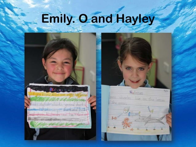 Sharks information report | PPTX