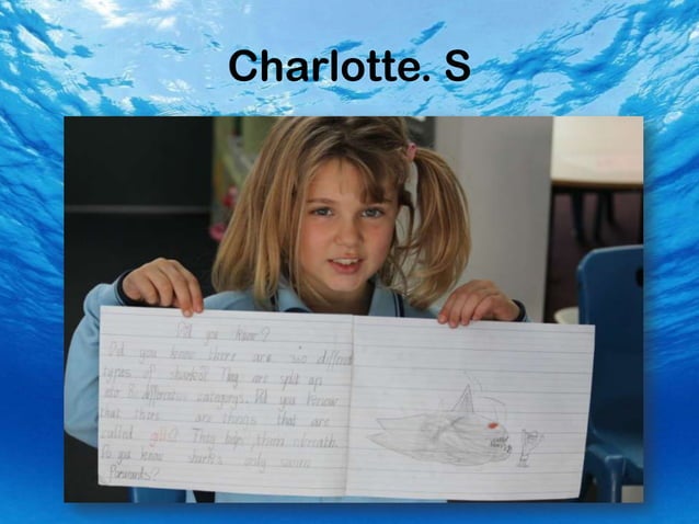 12WD Shark Information Reports | PPTX