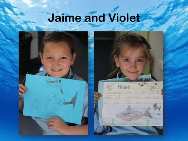 12WD Shark Information Reports | PPTX