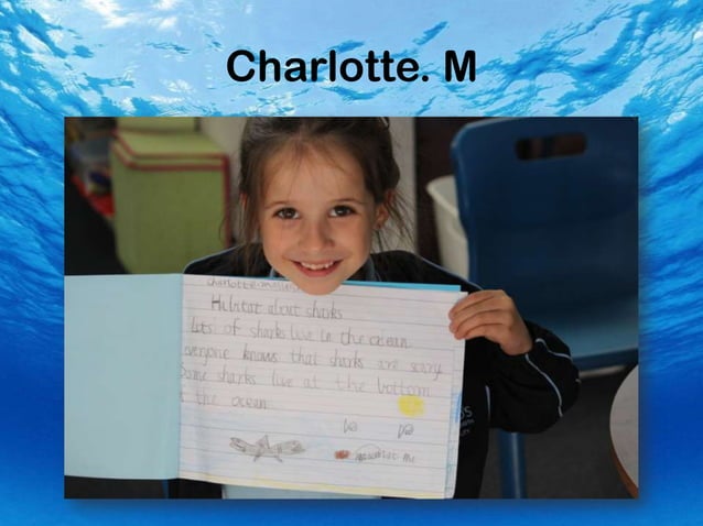 12WD Shark Information Reports | PPT