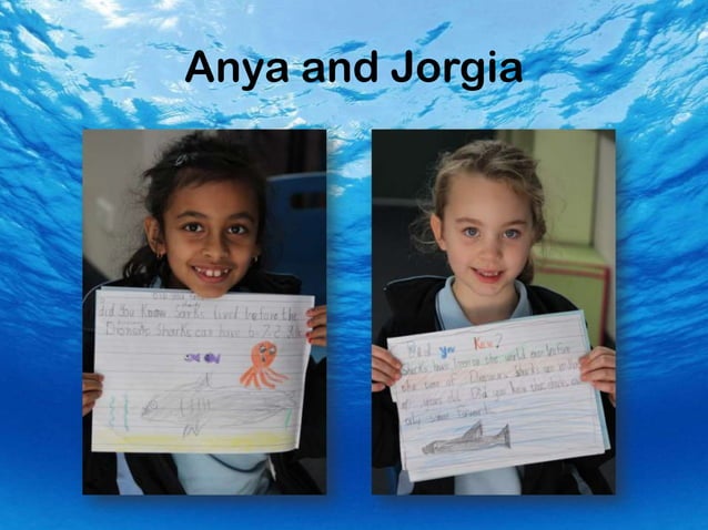 12WD Shark Information Reports | PPTX