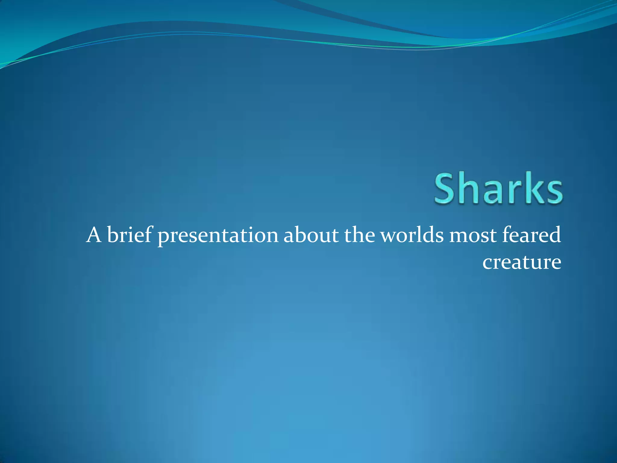 Sharks Power Point | PPTX | Fish and Aquariums | Pets