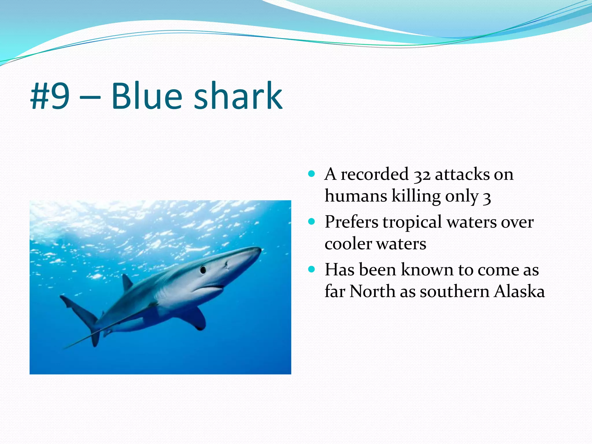 Sharks Power Point | PPTX | Fish and Aquariums | Pets