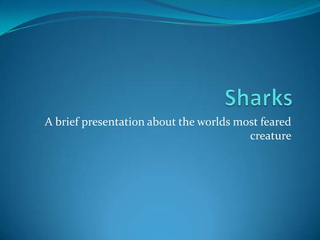 Sharks Power Point | PPTX | Fish and Aquariums | Pets